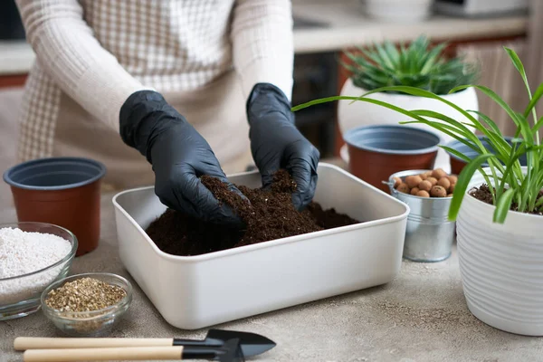 Pumice Vs Leca Vs Perlite Vs Vermiculite: What Are The, 55% OFF