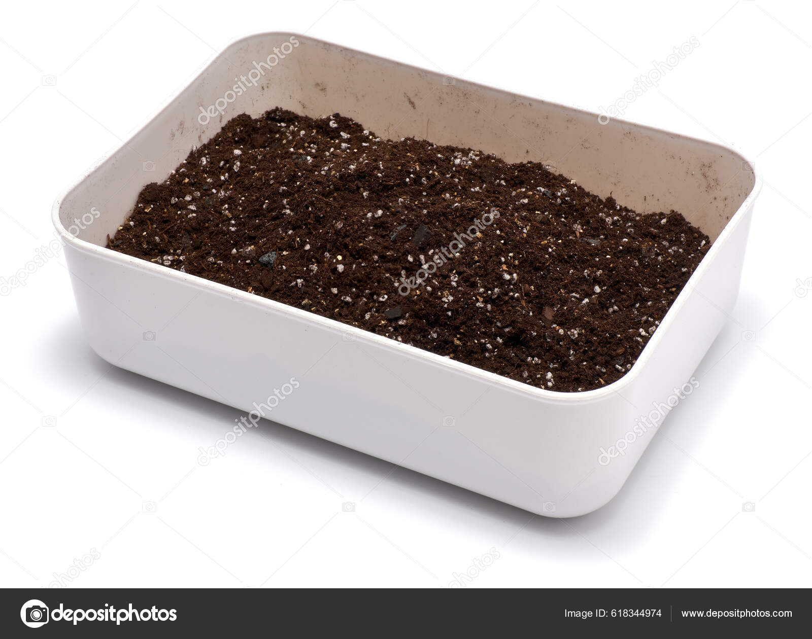 Plastic Box Substrate Soil Transplanting Houseplants Isolated White ...