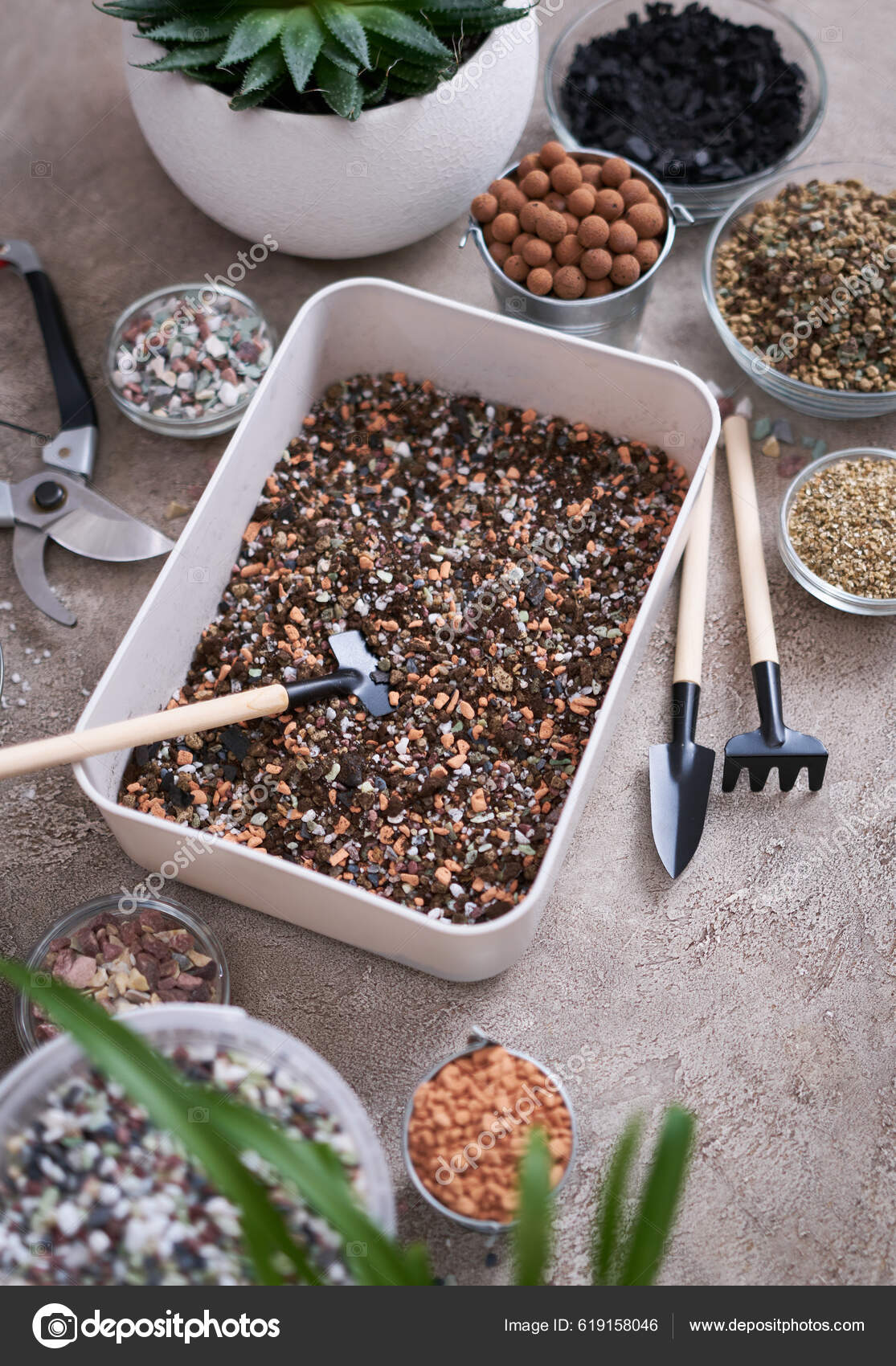 Plastic Box Substrate Soil Transplanting Houseplants Isolated White ...