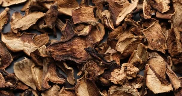 499 Dry mushrooms Videos, Royalty-free Stock Dry mushrooms Footage ...