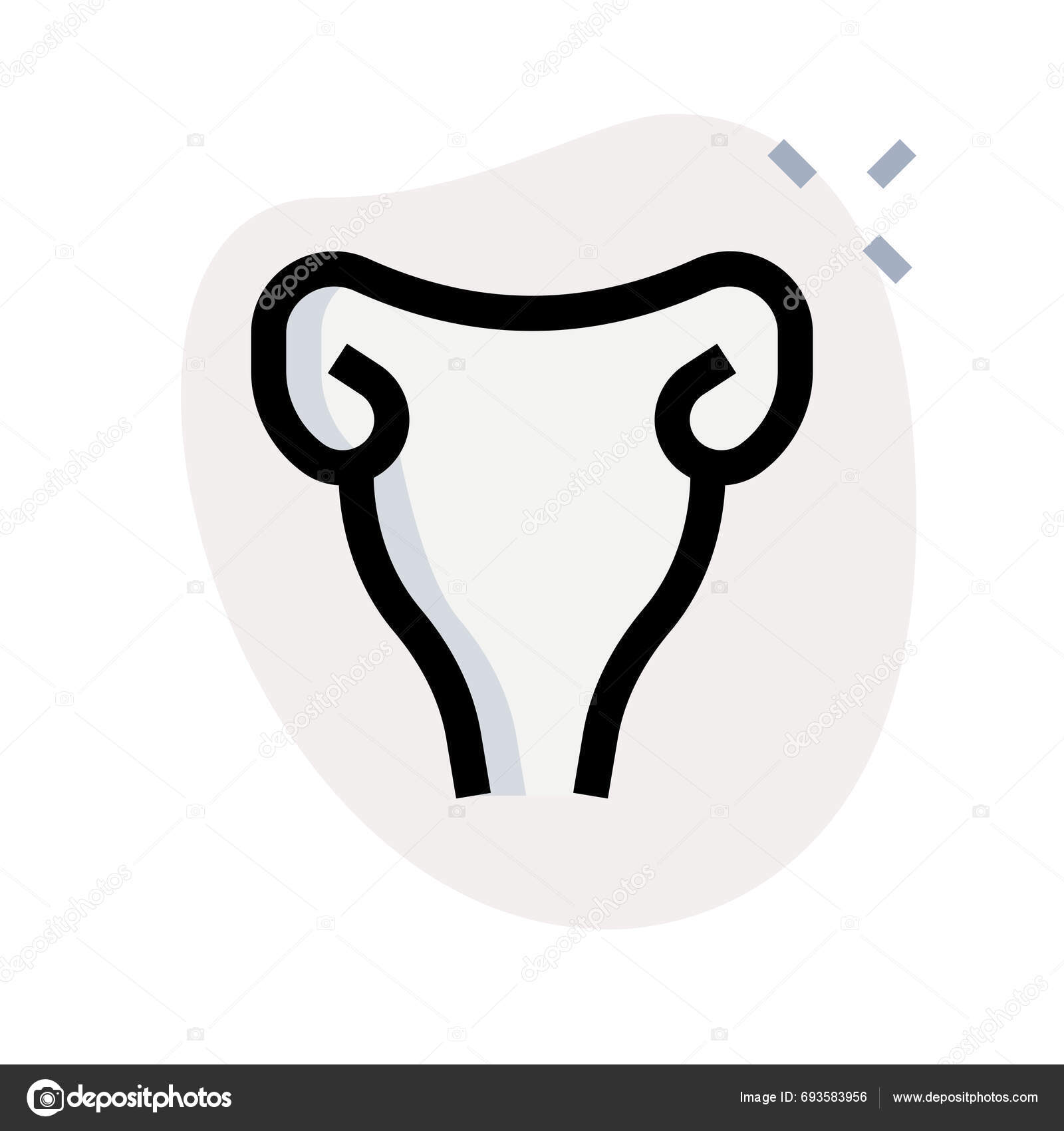 Útero Órgano Muscular Hueco Ubicado Pelvis Femenina Entre Vejiga Recto ...