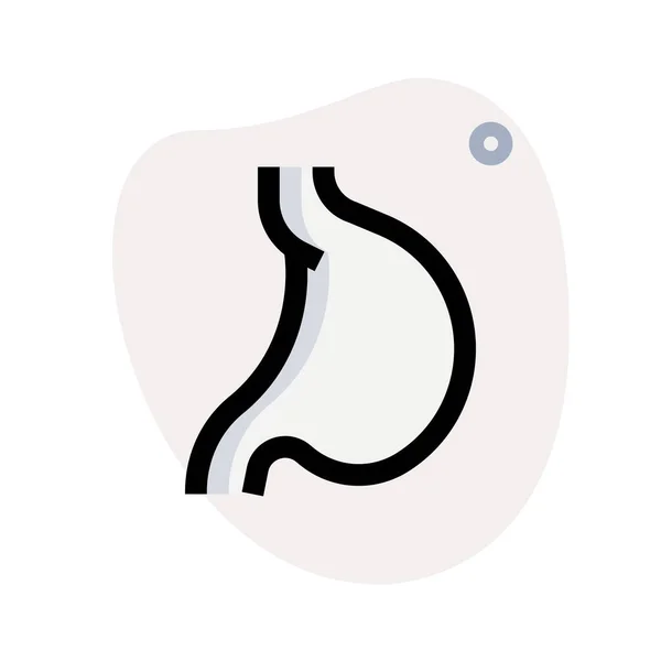 100,000 Stomie schématique Vector Images | Depositphotos