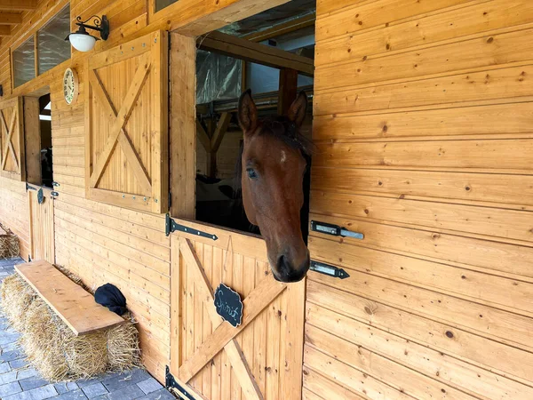 Horse barn Stock Photos, Royalty Free Horse barn Images | Depositphotos