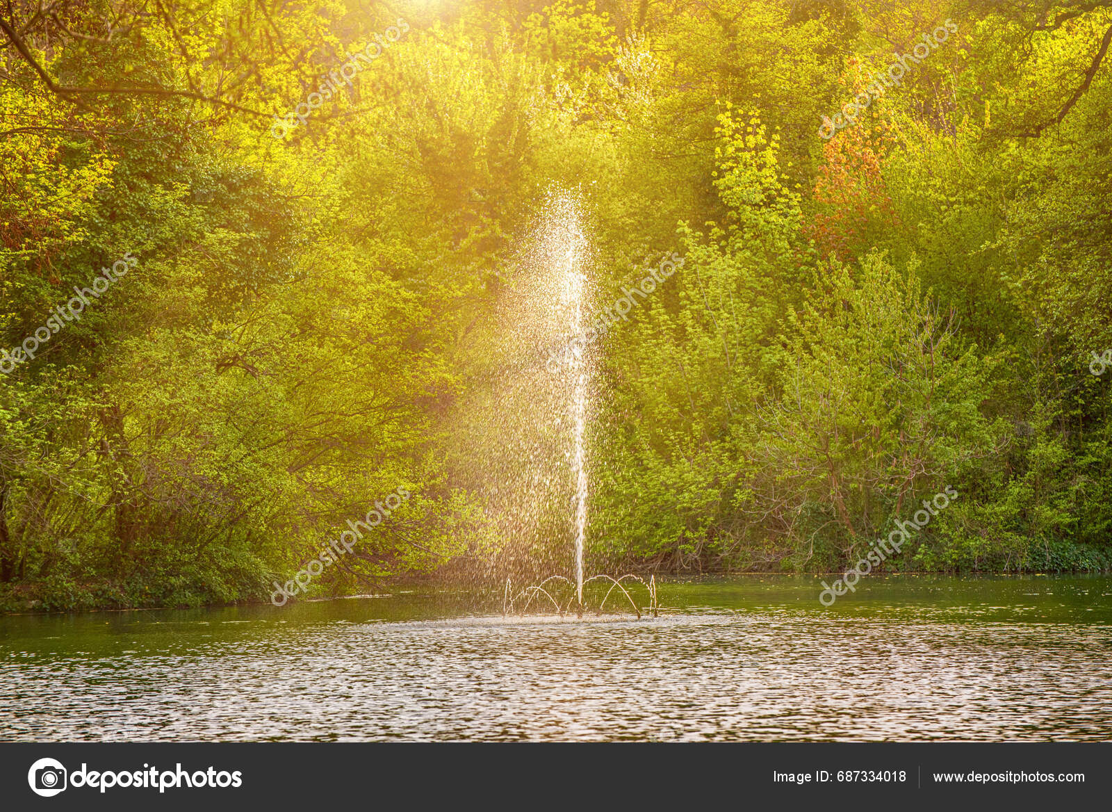 Water Fountain Spring Green Sunny Public Park Natural Seasonal ...