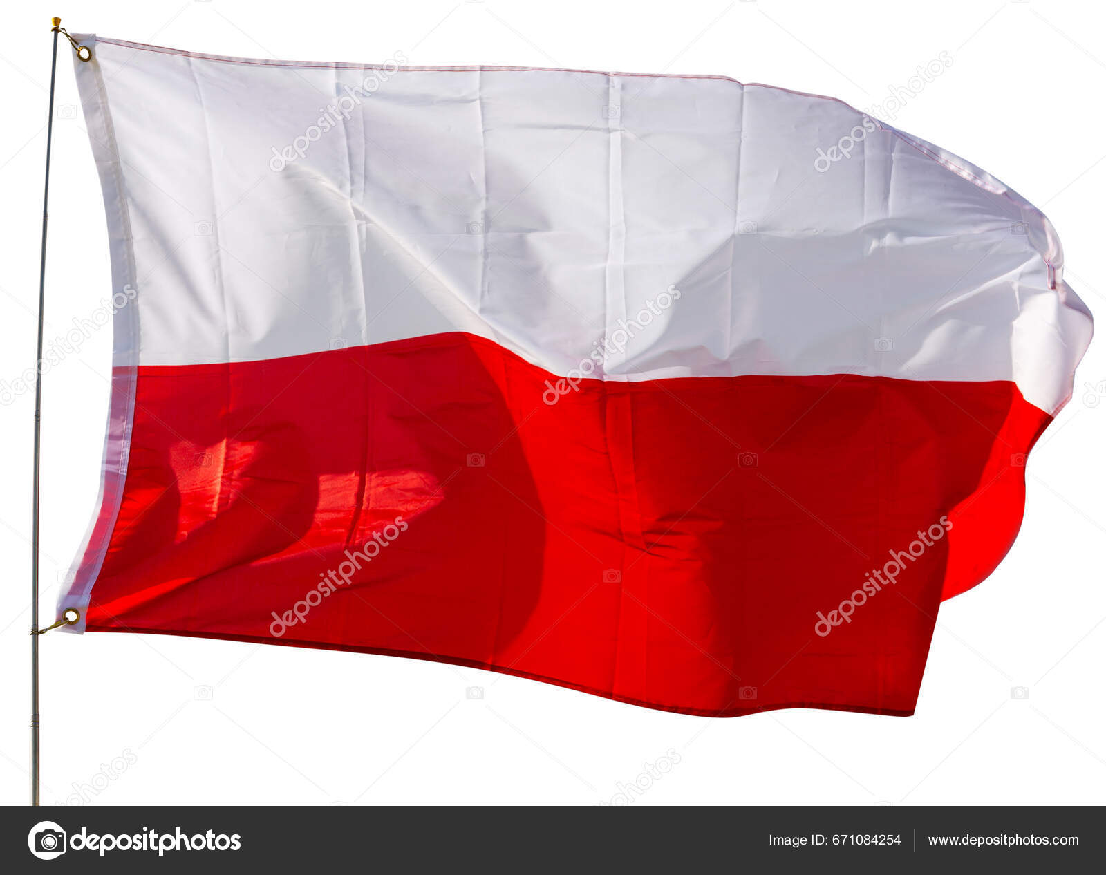 Gran Bandera Polaca Ondeando Aislado Sobre Fondo Blanco: fotografía de ...