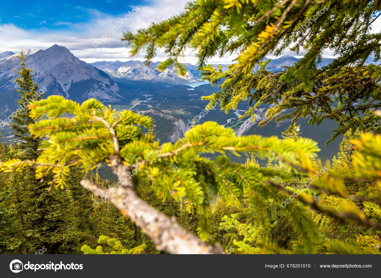 Panoramic Aerial View Banff City Bow Valley Fir Branch Frame — Stock ...