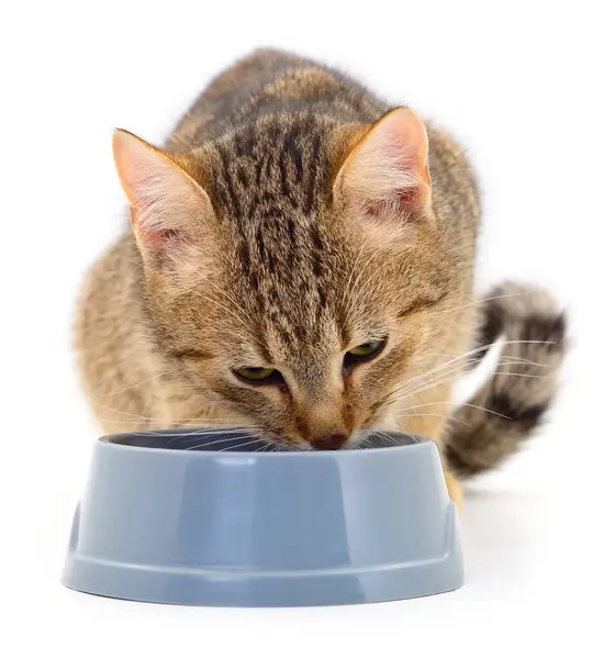 Foodorderappsinusa in misc products php cat images libres de droit ...