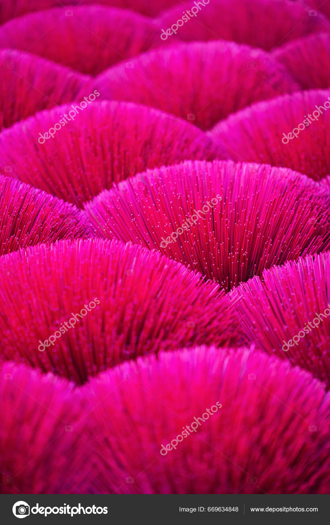 Pink Incense Sticks Drying Outdoor Village Hanoi Vietnam — Stock Photo ...