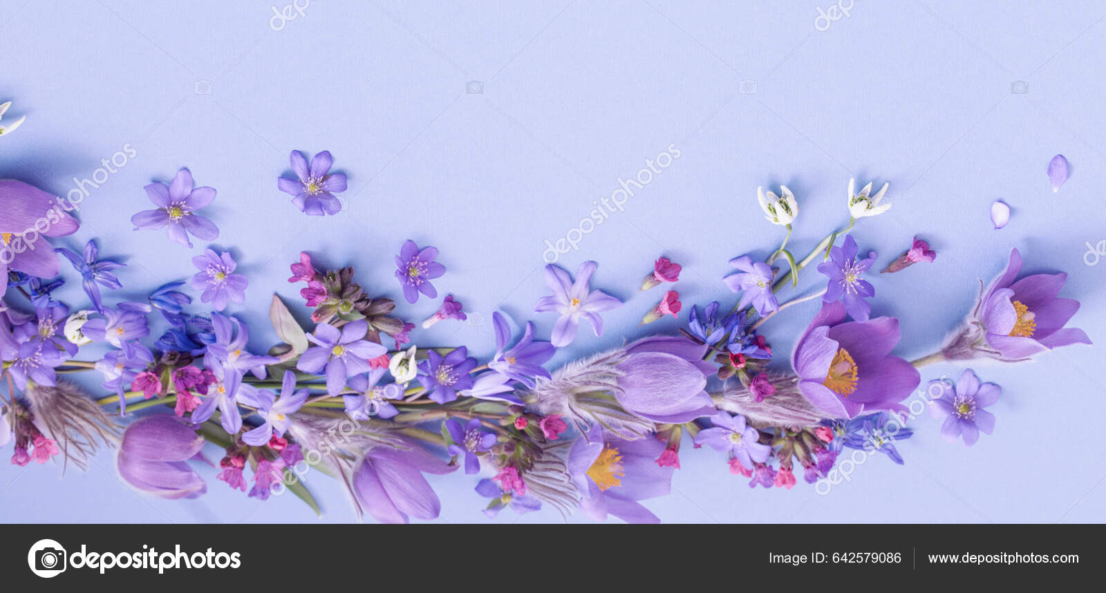 Spring Flower Divider