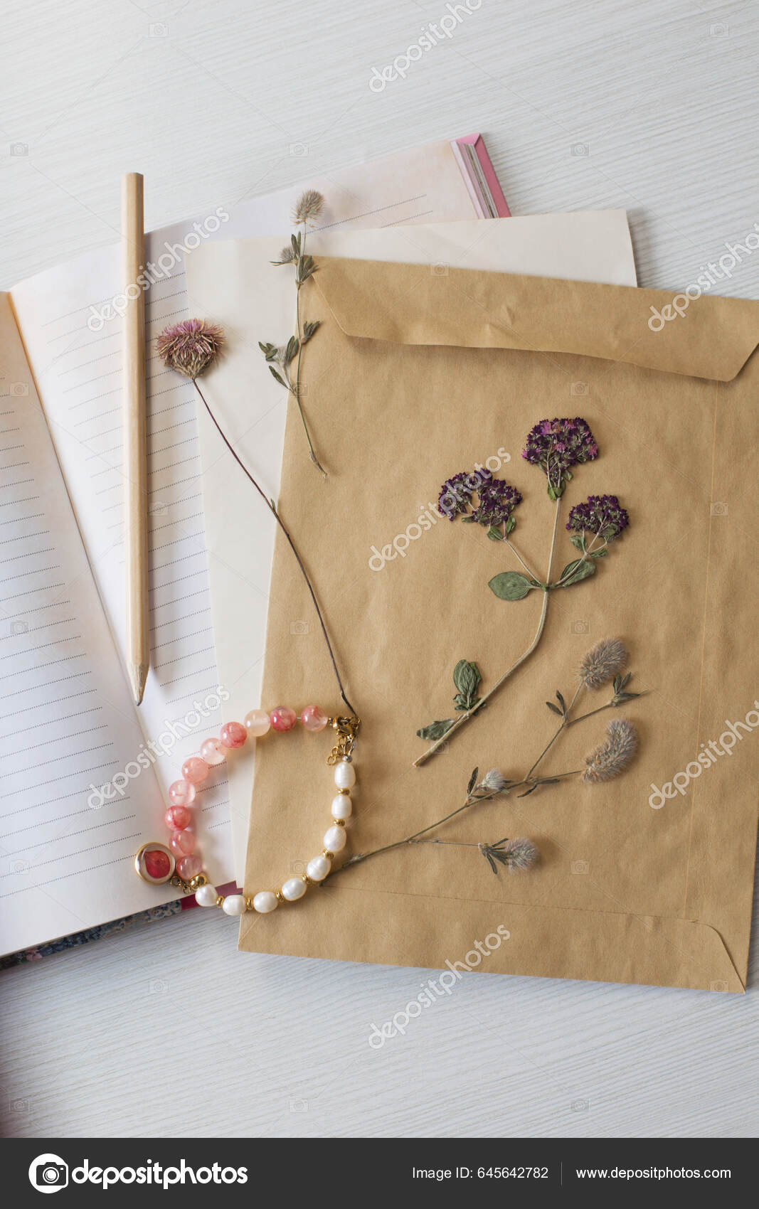Vintage Composition Dried Plants Old Sheets Paper — Stock Photo ...