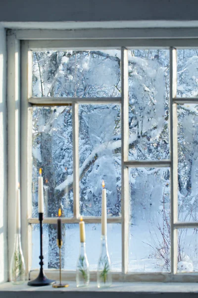 Winter garden window Stock Photos, Royalty Free Winter garden window ...