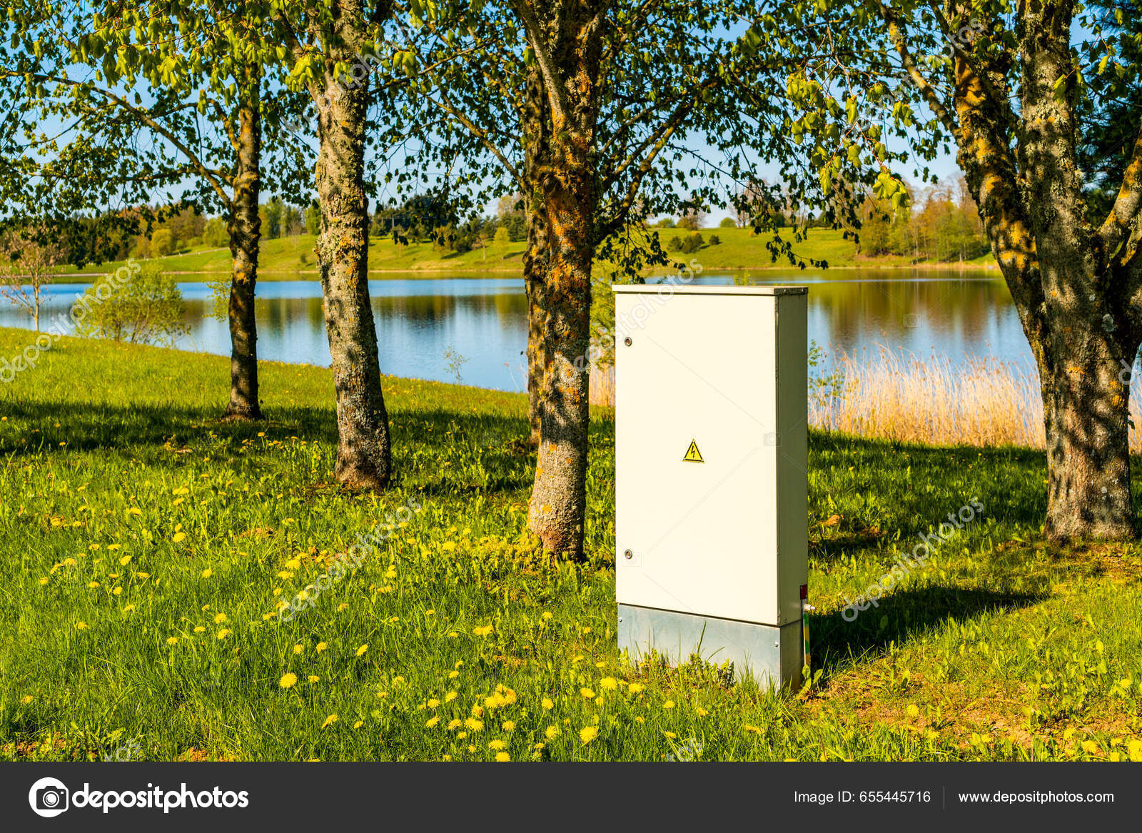 Locker Electric System Trees Outdoor Electric High Voltage Distribution ...