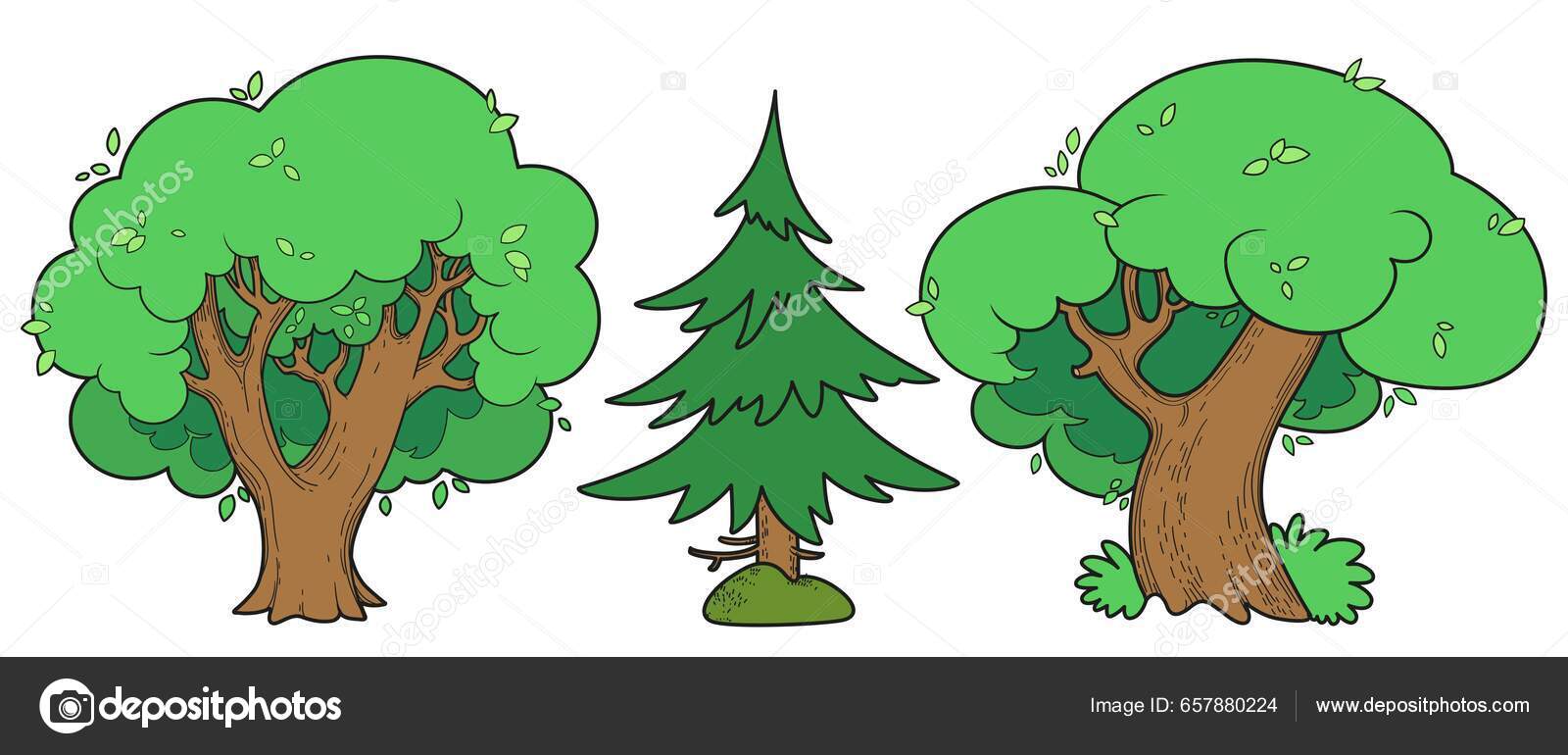 Three Big Old Tree Linear Drawing Two Deciduous One Spruce Stock Vector ...