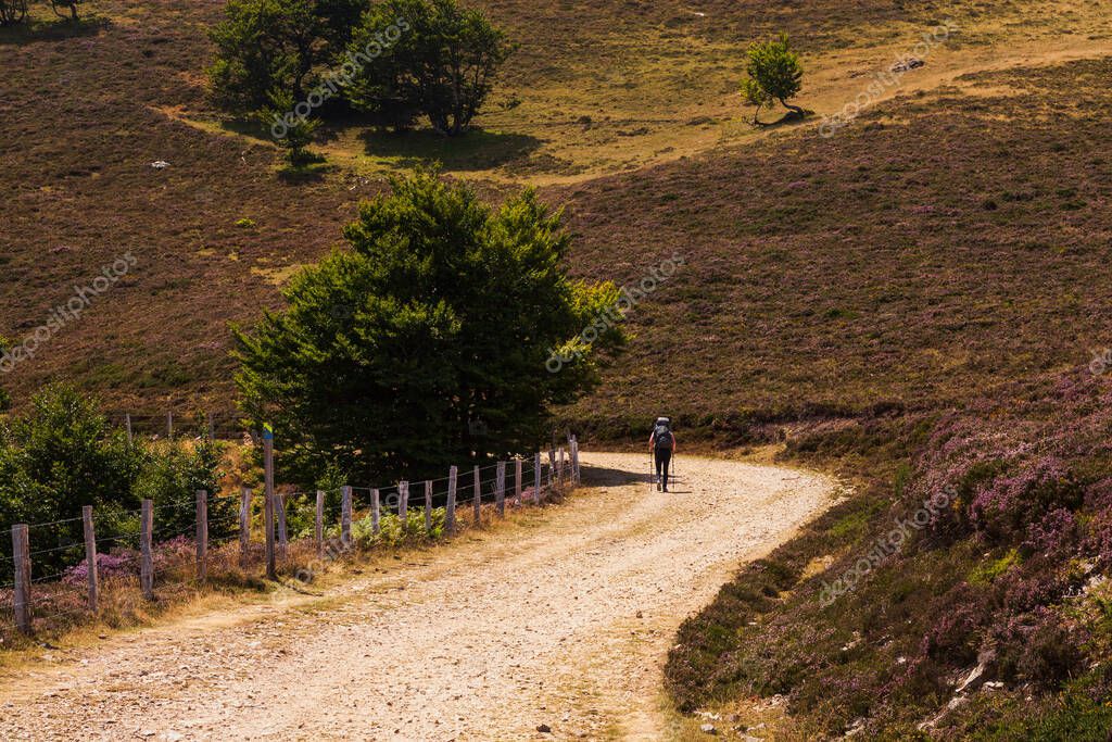 Pilgrim from behind along the Camino de Santiago. Path of the way of St ...