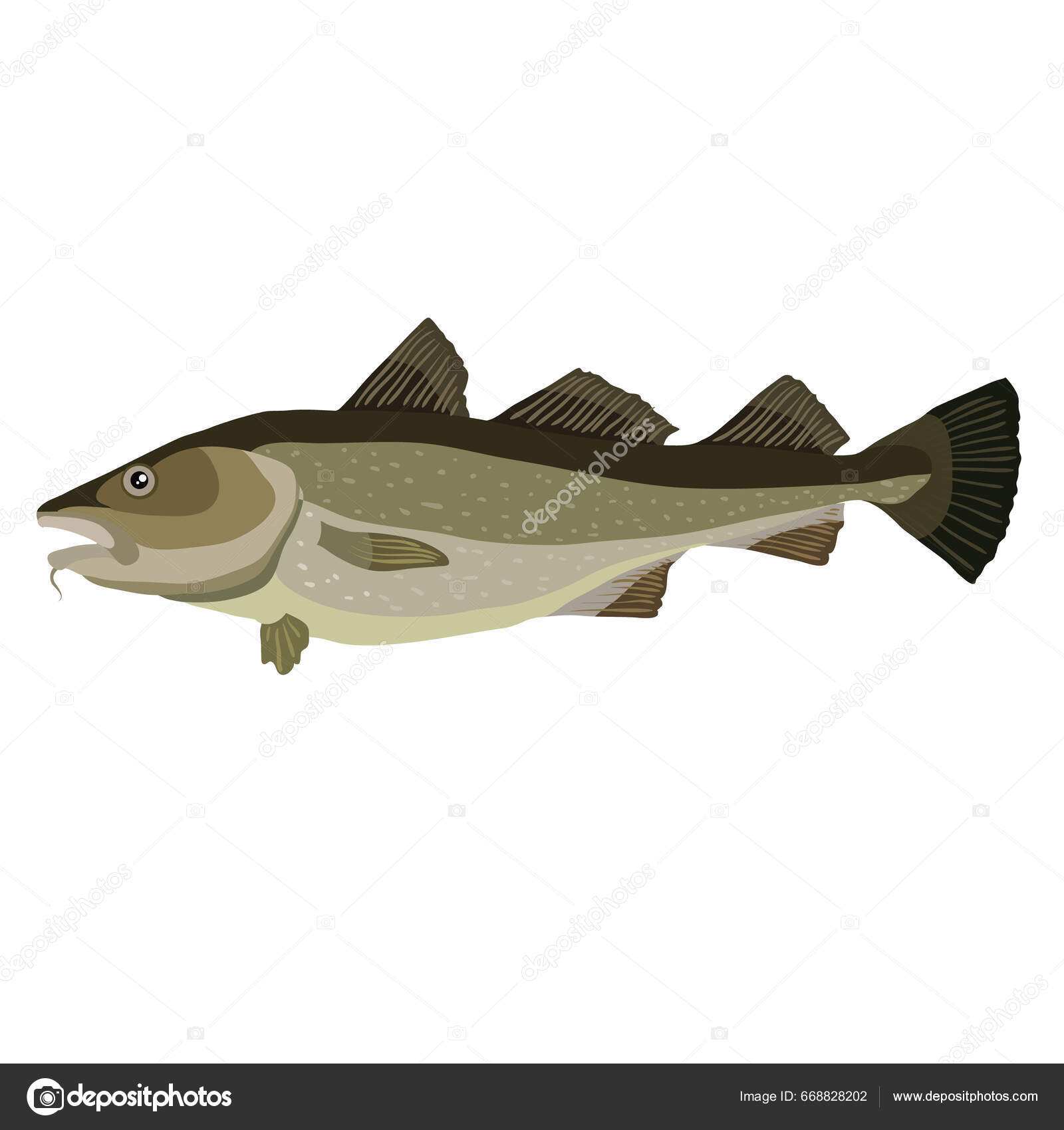 Cod Fish Green Color Cartoon Illustration Isolated Object White ...