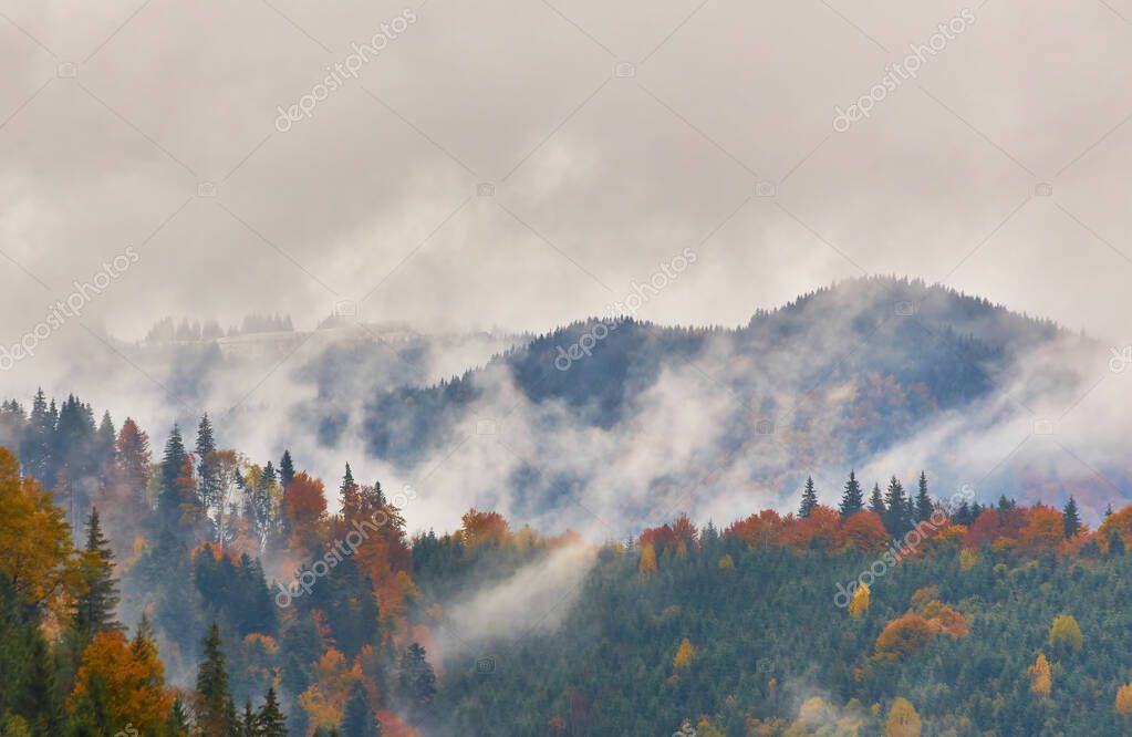 Sumérgete en la belleza etérea de picos montañosos cubiertos de niebla ...
