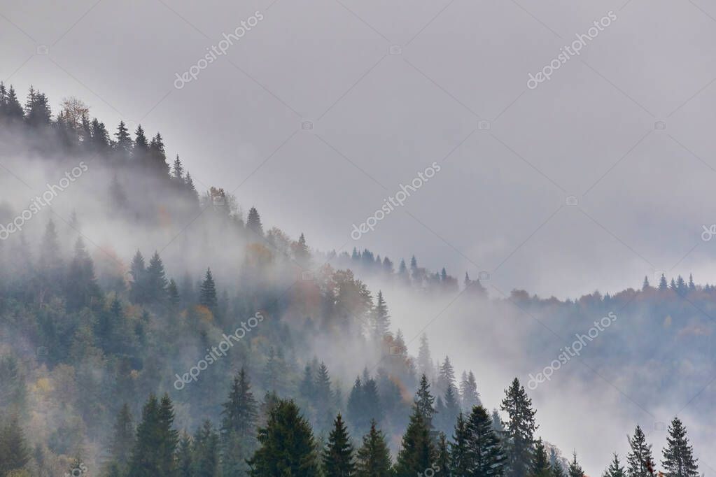 Sumérgete en la belleza etérea de picos montañosos cubiertos de niebla ...