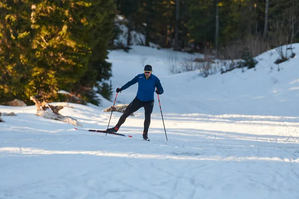 Nordic skiing or Cross-country skiing classic technique practiced by man in a beautiful ...