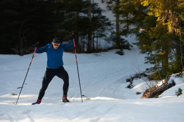 Nordic skiing or Cross-country skiing classic technique practiced by man in a beautiful ...