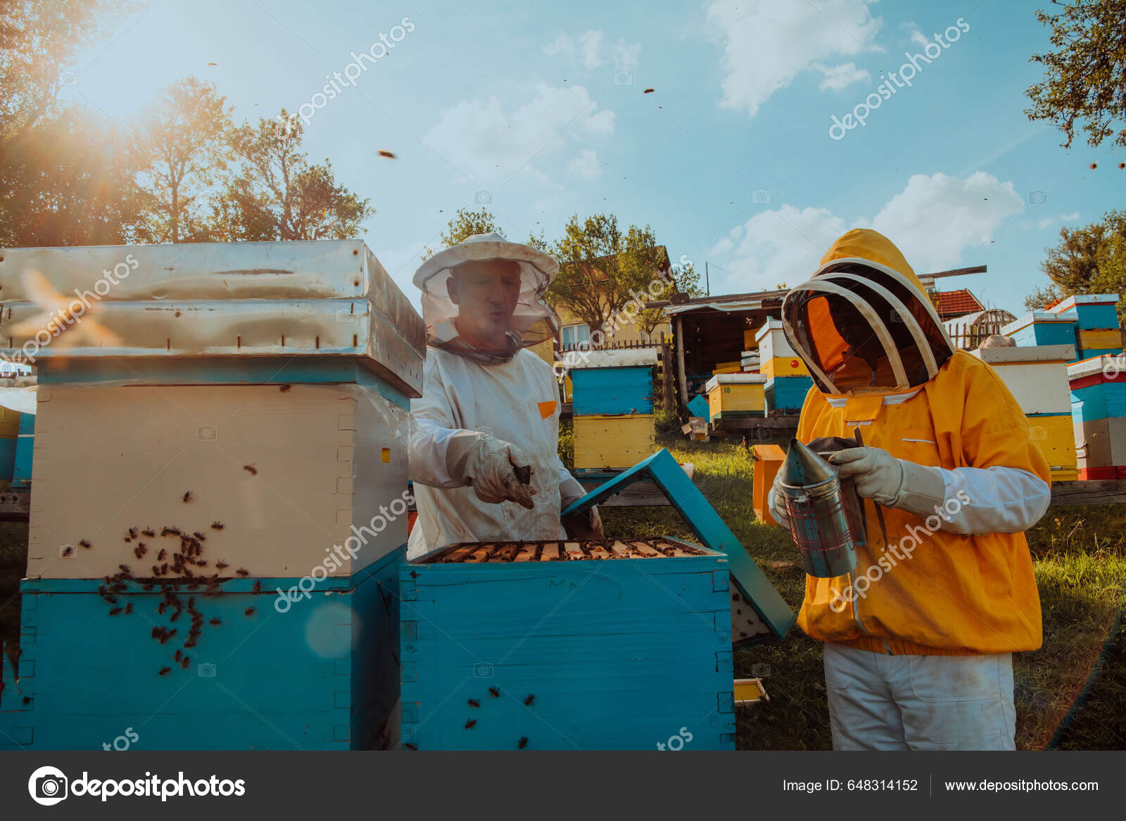 Beekeepers Checking Honey Beehive Frame Field Small Business Owners ...