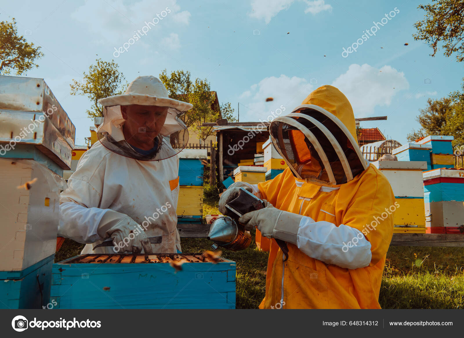 Beekeepers Checking Honey Beehive Frame Field Small Business Owners ...