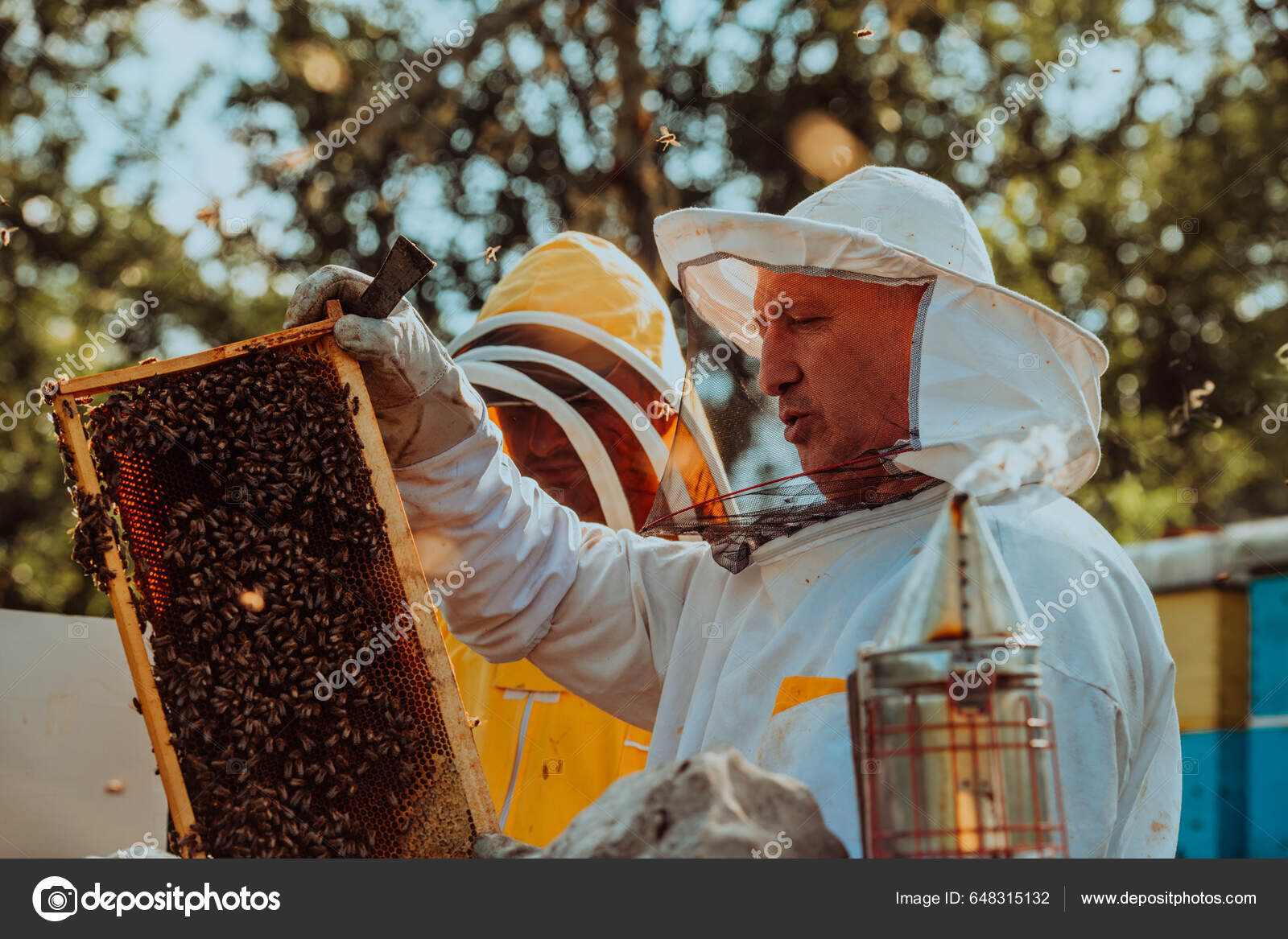 Beekeeping Natural
