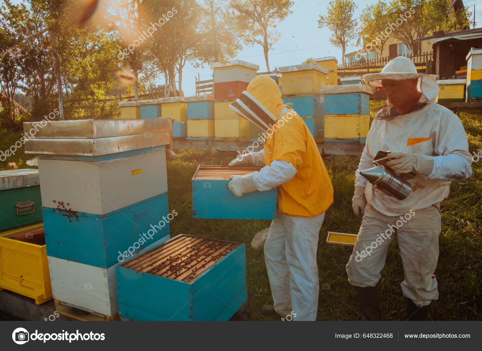Beekeepers Checking Honey Beehive Frame Field Small Business Owners ...