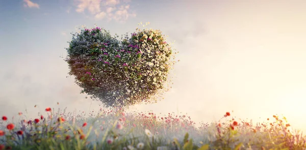 Heart shape tree on spring grassy meadow. Love, fantasy land and ...
