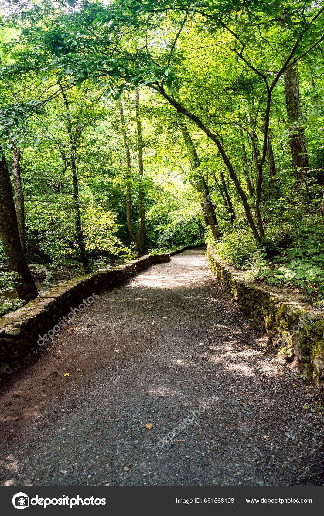 Forest Pathway Forest Scape Trees Bushes Rocks Tree Line Landscape ...