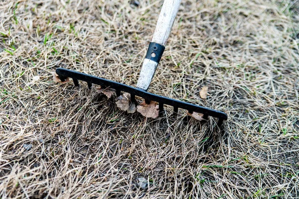 Moss removal rake Stock Photos, Royalty Free Moss removal rake Images ...