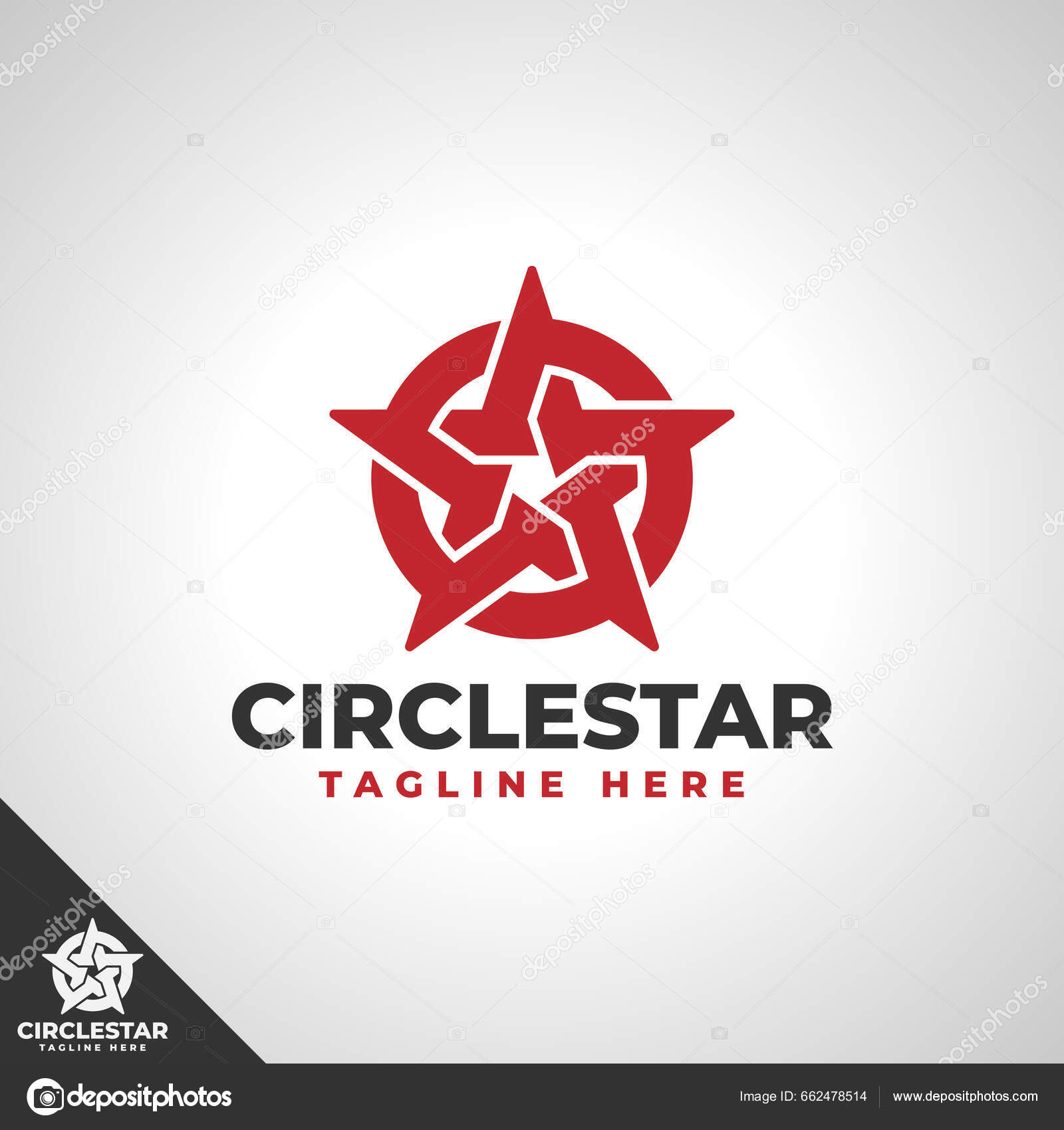 Logo Estrella Logo Estrella Geométrica Con Marco Círculo Vector de ...