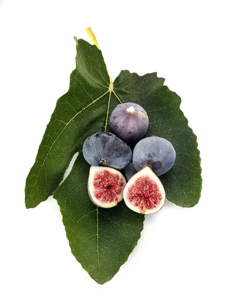 Fig branch Stock Photos, Royalty Free Fig branch Images | Depositphotos