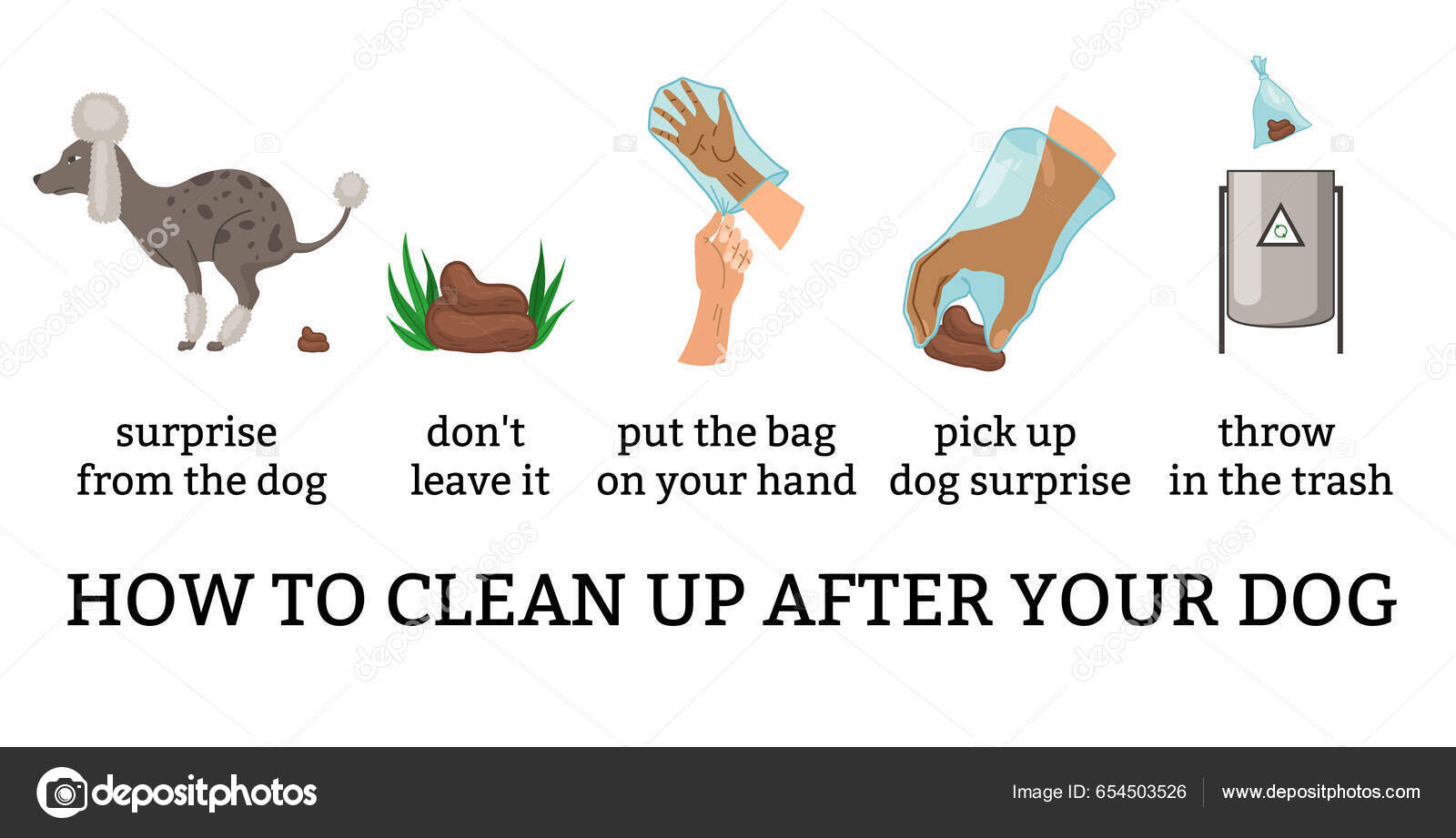 Dog Poo Clean Steps Infographic Set Vector Poster Hygiene Animal Stock ...