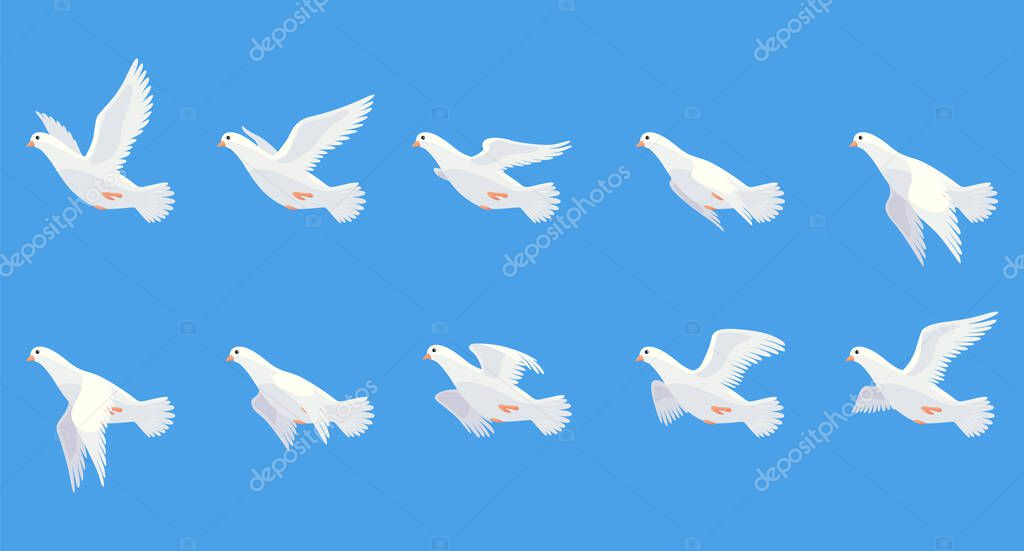 Animación de palomas. Alas de movimiento de pájaros en el cielo. Paloma ...