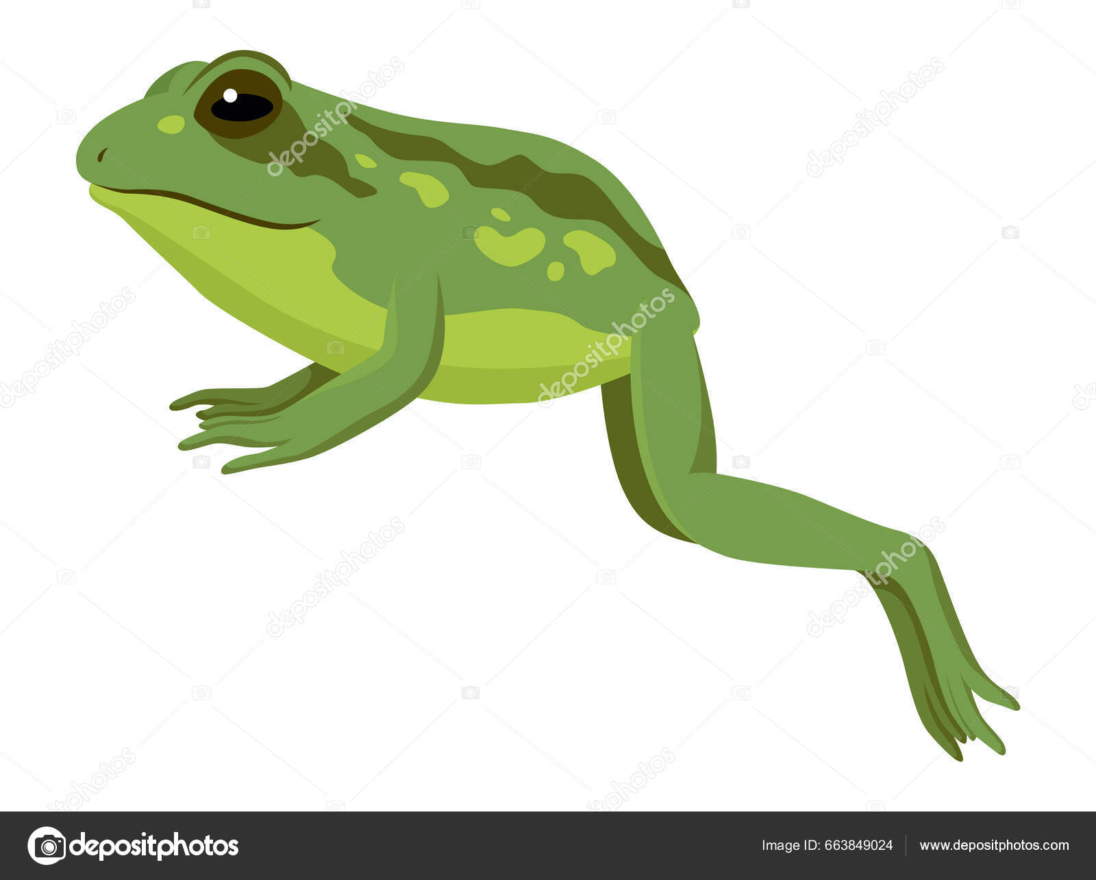 Frog Jumping Animation Icon Sequences Footage Motion Design Cartoon ... Frog Jumping Animation Icon Sequences Footage Motion Design Cartoon ...