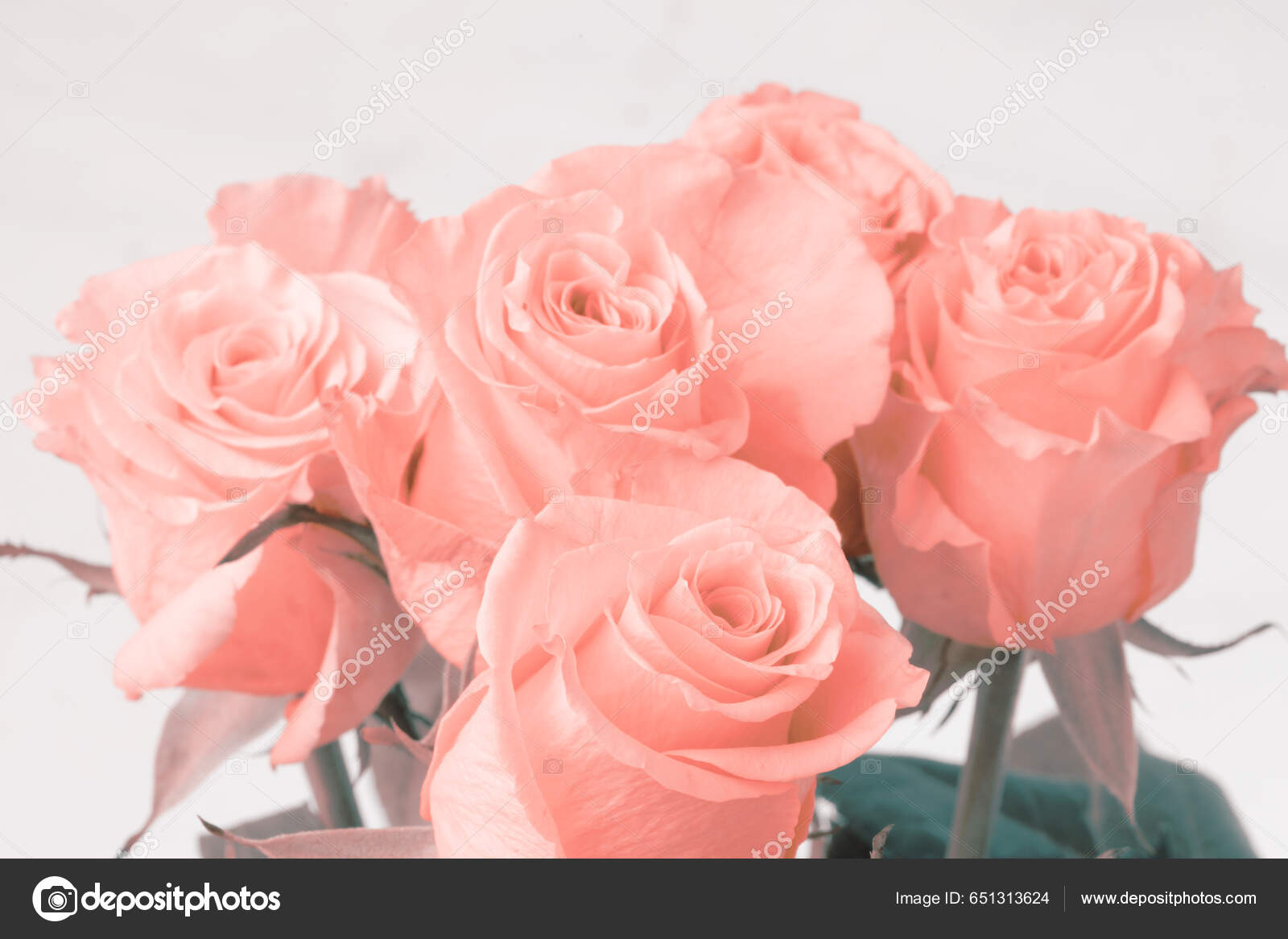Smoke Soft Flower Bouquet Background Beige Pink Roses — Stock Photo ...