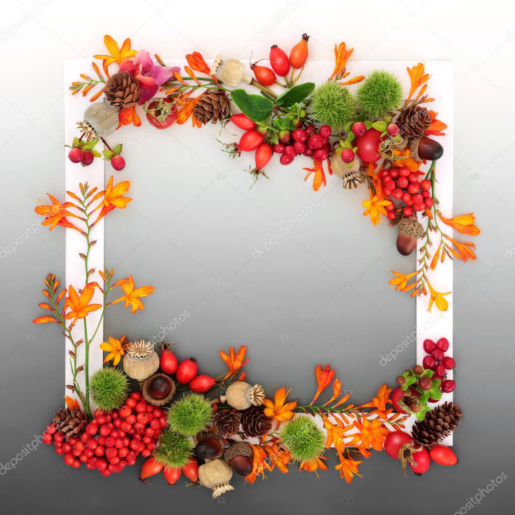 Otoño Acción de Gracias Otoño borde de la naturaleza de fondo con hojas ...