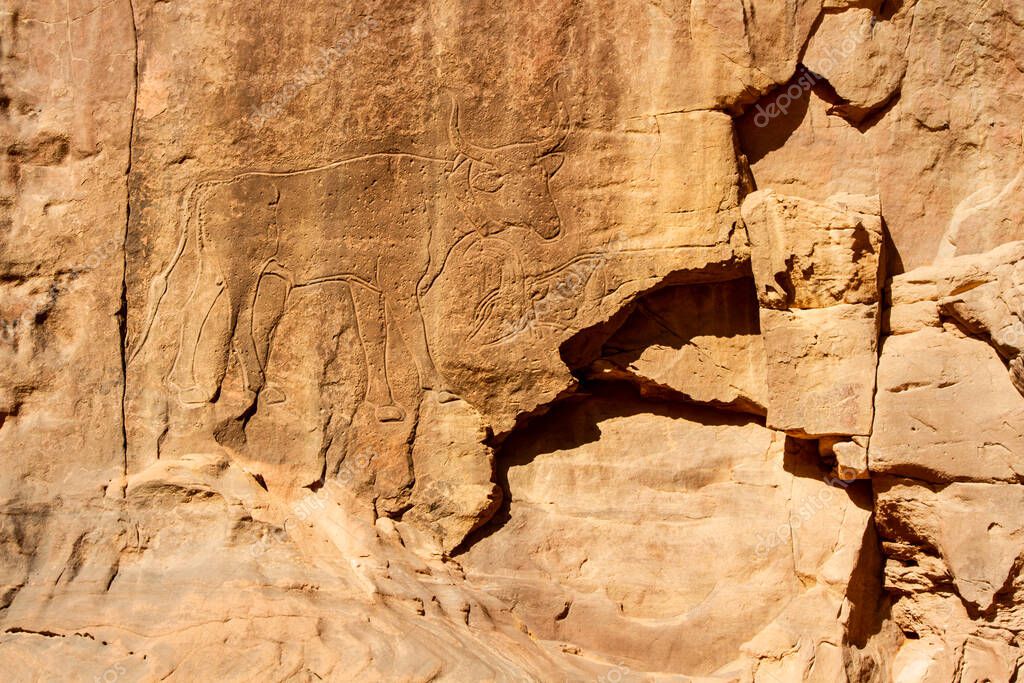 Prehistoric Petroglyphs. Beautifully preserved rock engravings ...