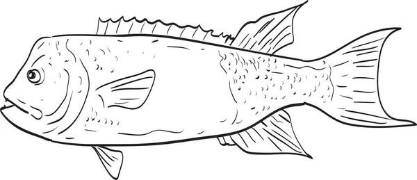 100,000 Fish coloring page for kids Vector Images | Depositphotos