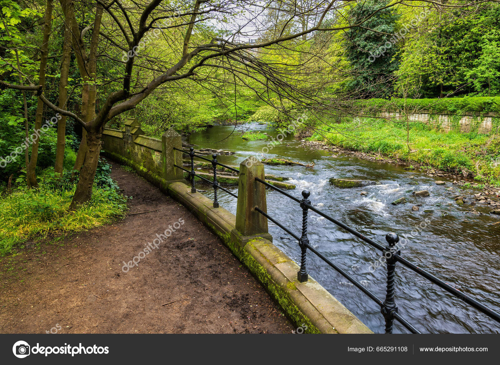 Water Leith River Flowing City Edinburgh Scotland Stock Photo by ...
