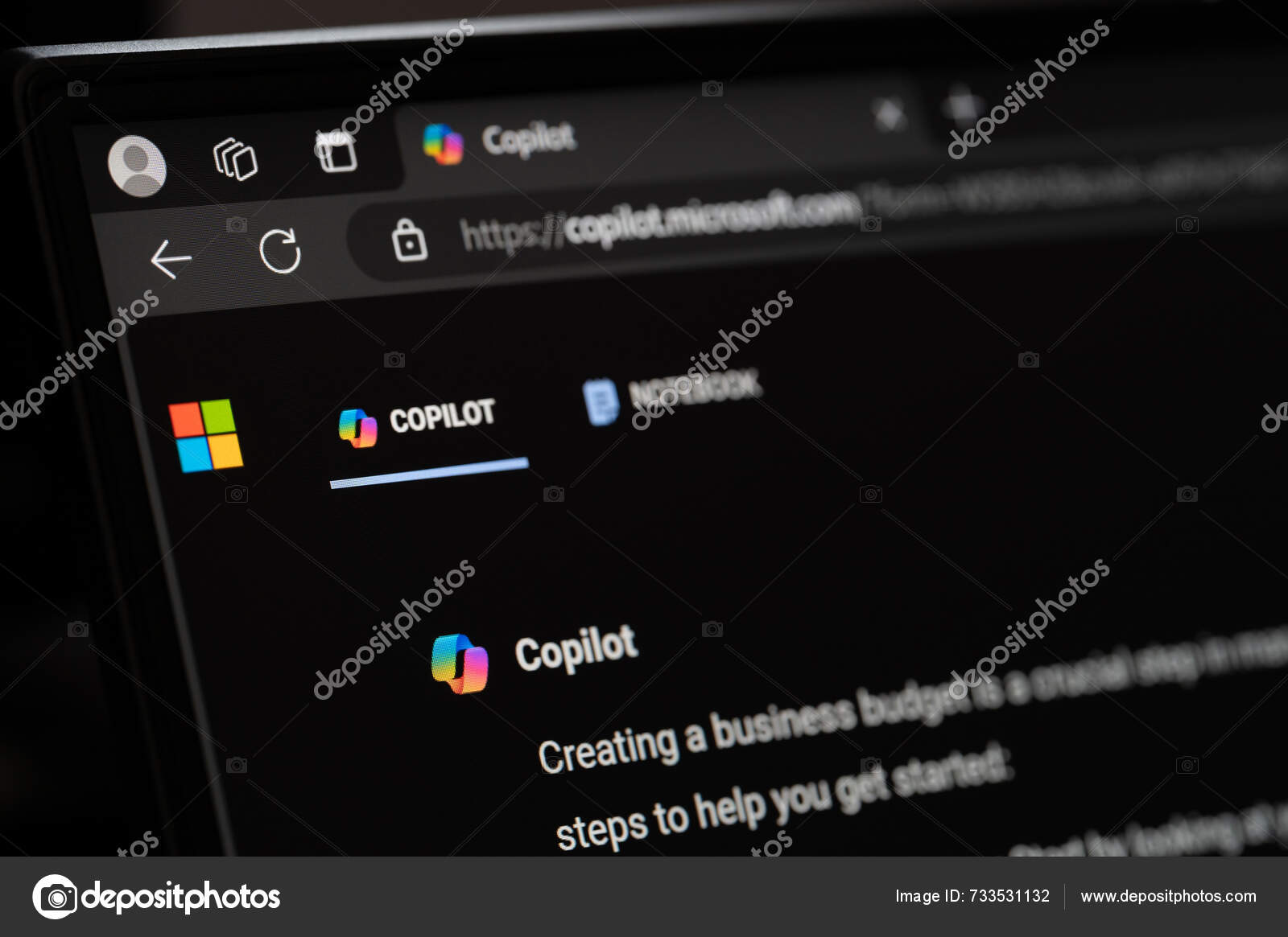 New York Usa July 2024 Microsoft Copilot Service App Official — Stock Editorial Photo © dimarik ...
