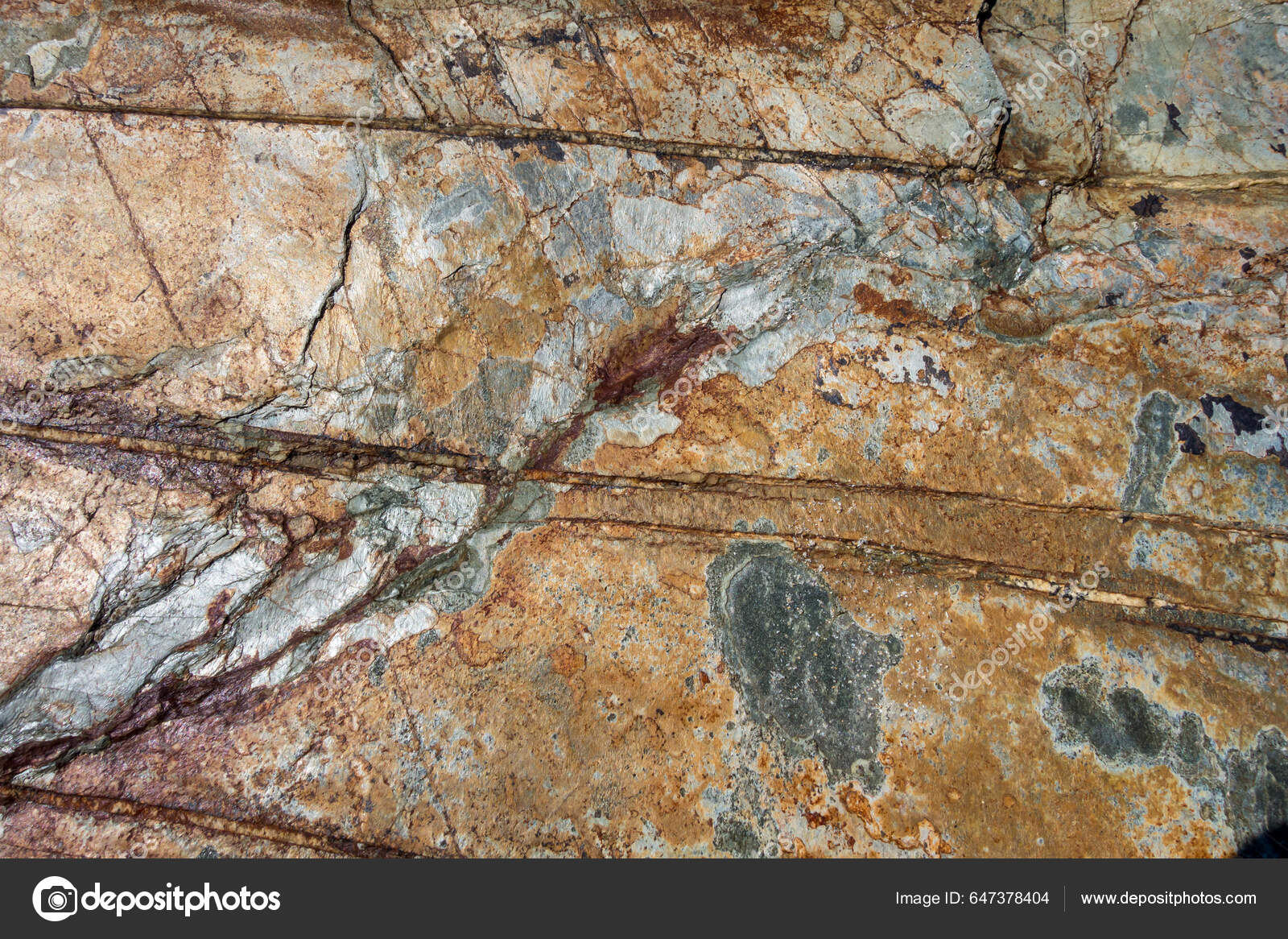 Schist Texture