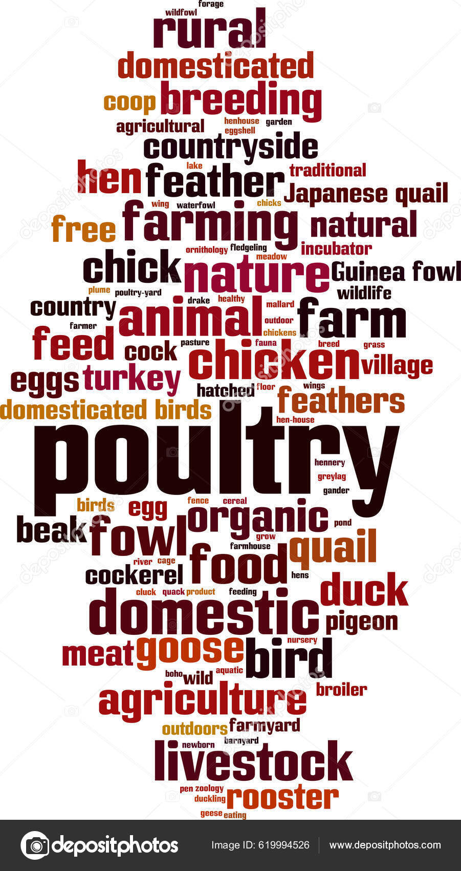 Poultry Word Cloud Concept Collage Made Words Poultry Vector ... Poultry Word Cloud Concept Collage Made Words Poultry Vector ...