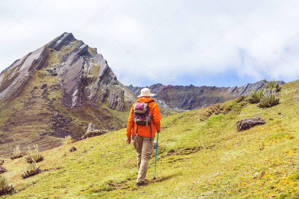 Caminante en altas monta as en Colombia, Am rica del Sur 2024