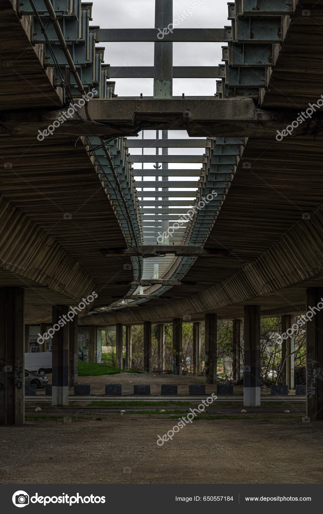 Low Angle Photography Examples