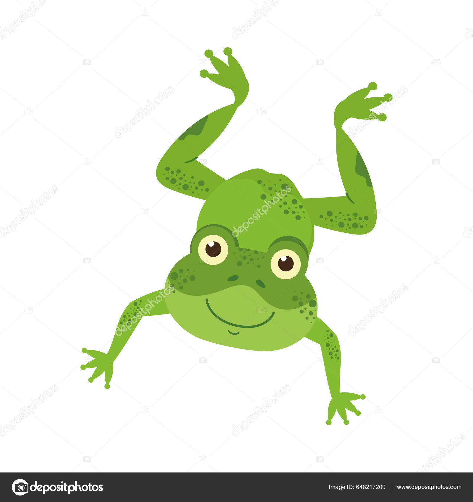 Cute Cartoon Toad Icon Isolated Stock Vector by ©yupiramos 648217200