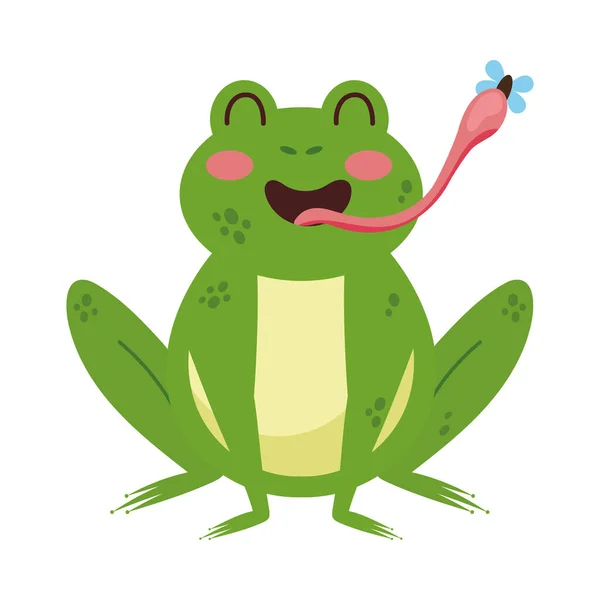 Vectores de Rana comiendo insecto, imágenes vectoriales | Depositphotos
