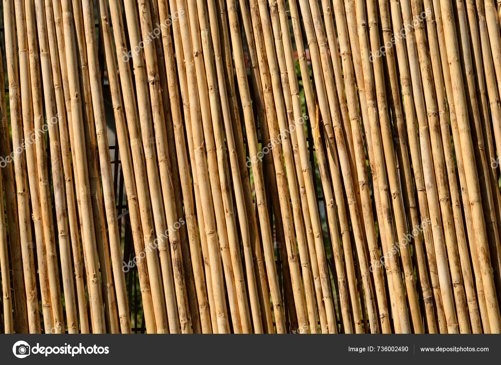 Detail Fence Made Dry Reed — Stock Photo © nahhan #736002490