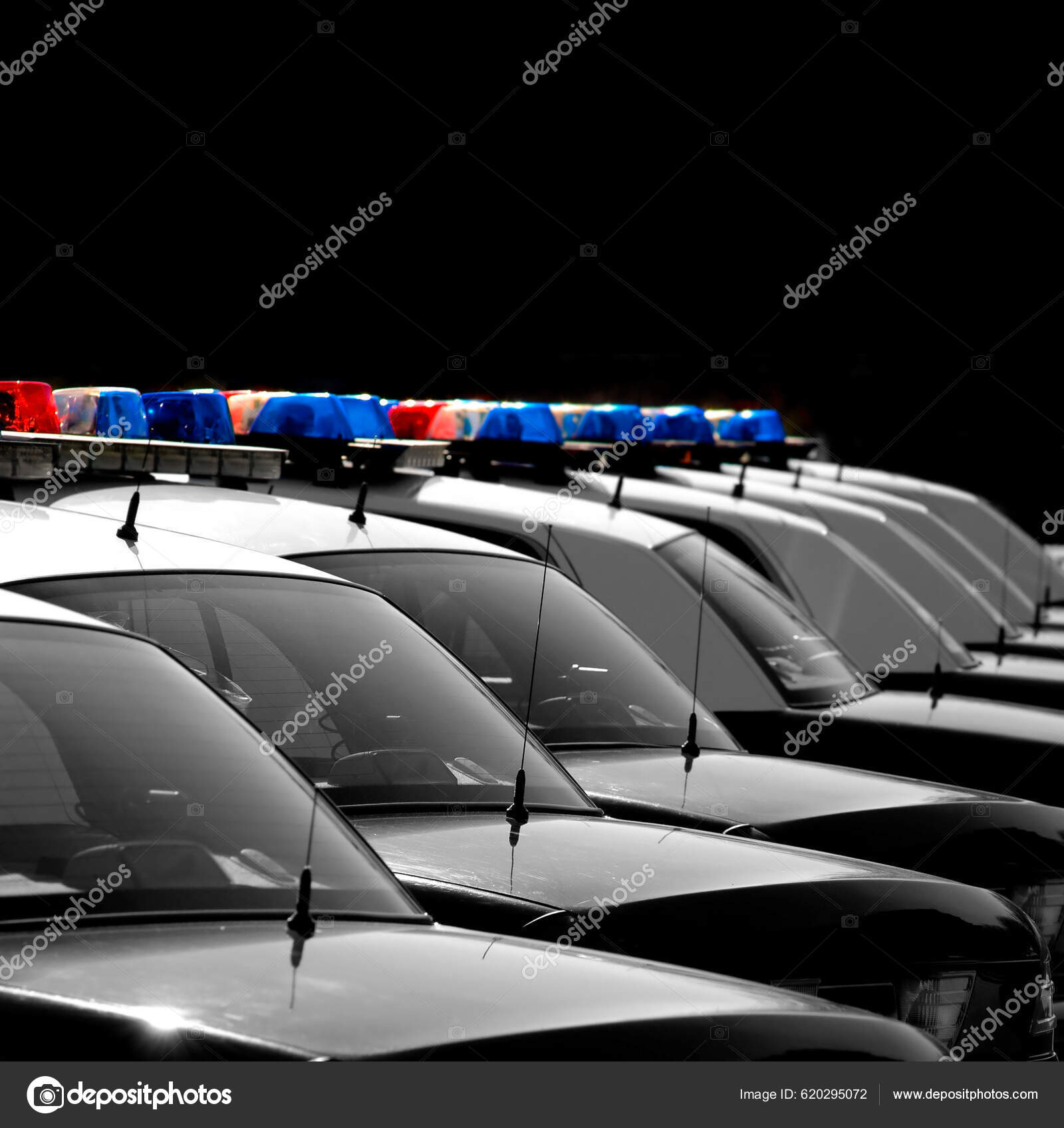 Row Police Cars Blue Red Lights Public Safety Emergencies Stock Photo ...