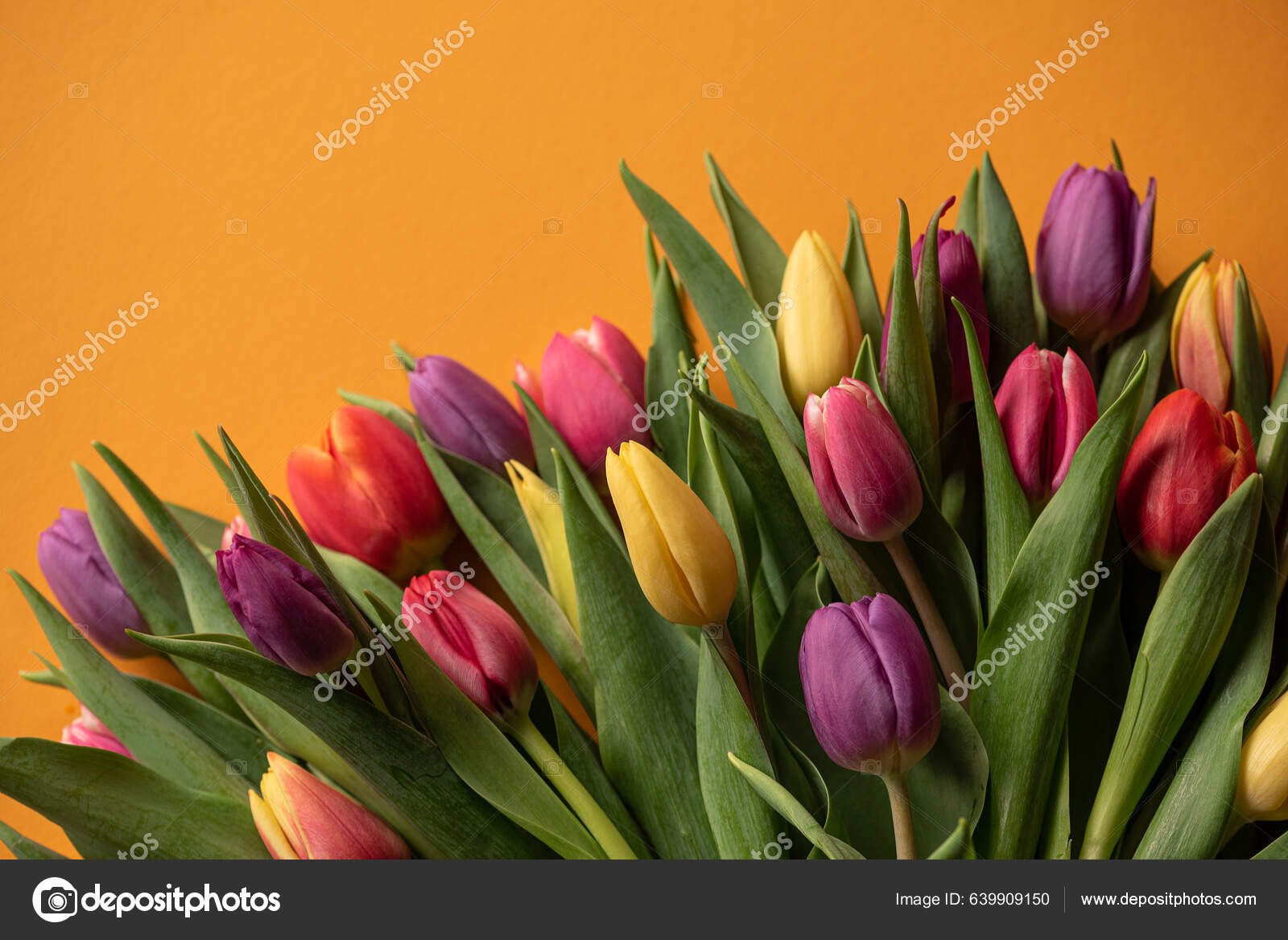 Bright Spring Flowers Background